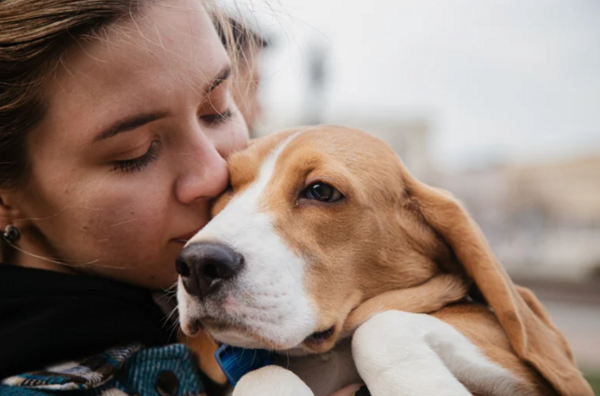 Bien vivre avec son animal à BLR